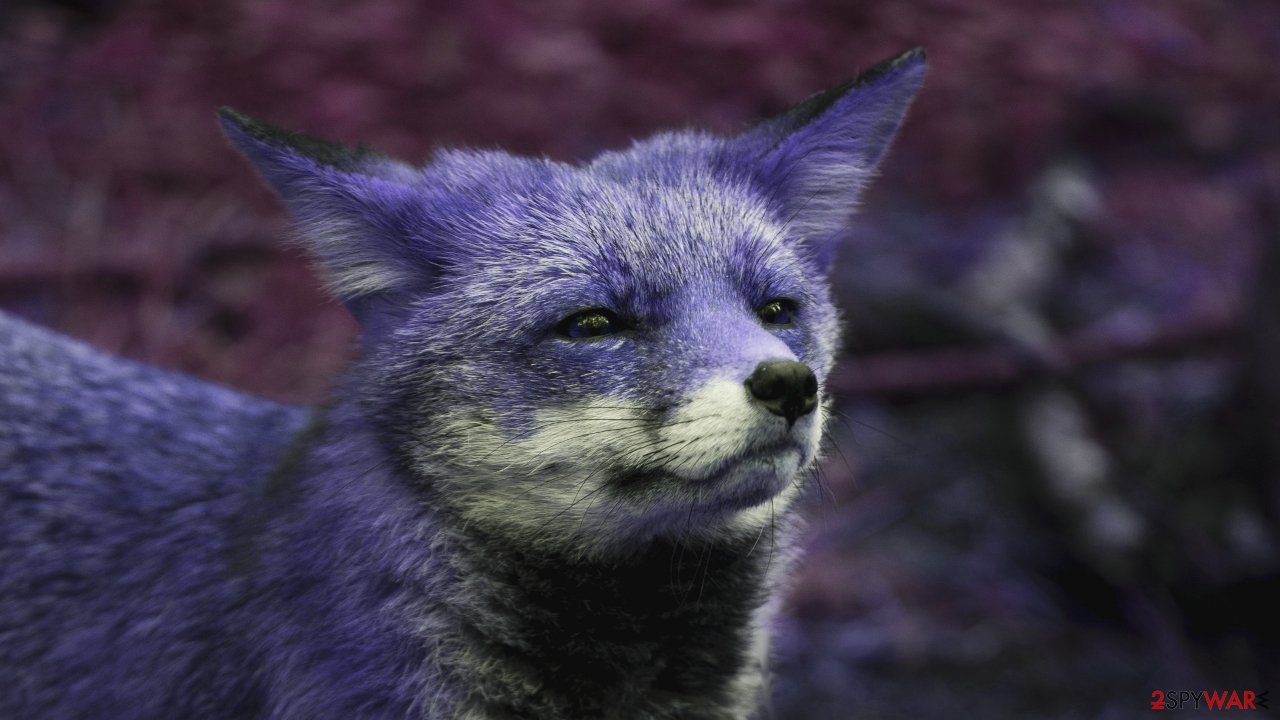 Fake Telegram Messenger Apps used to distribute Purple Fox malware