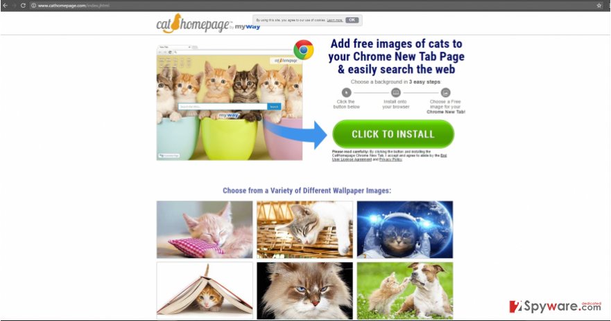 Remove CatHomepage virus (Improved Instructions)