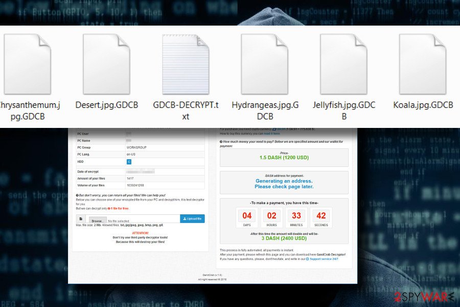 Common Virus File Extensions